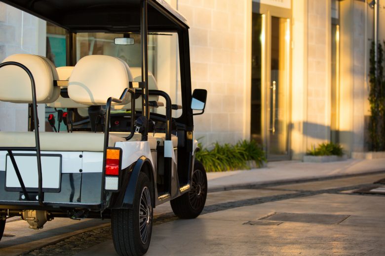 Everything You Need To Know About Electric Neighborhood Vehicles ...